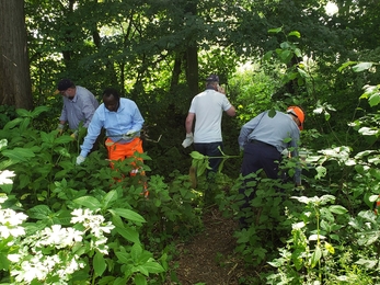 Wild Work Days | Nottinghamshire Wildlife Trust