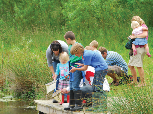 Idle Valley Visitor Centre and Nature Reserve | Nottinghamshire ...