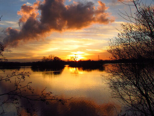 Attenborough Nature Centre and Reserve | Nottinghamshire Wildlife Trust