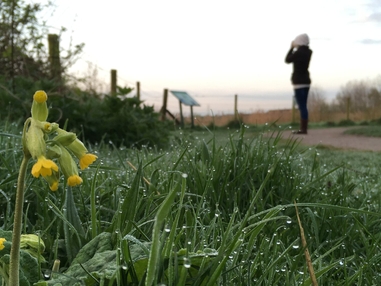Idle Valley Visitor Centre and Nature Reserve | Nottinghamshire ...