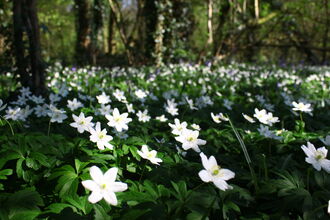 Find a nature reserve near you | Nottinghamshire Wildlife Trust