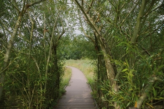 Idle Valley | Nottinghamshire Wildlife Trust