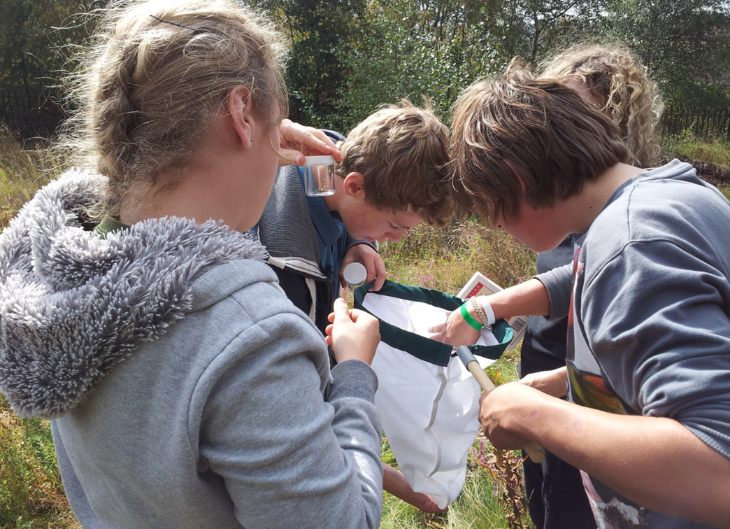 Young Rangers | Nottinghamshire Wildlife Trust
