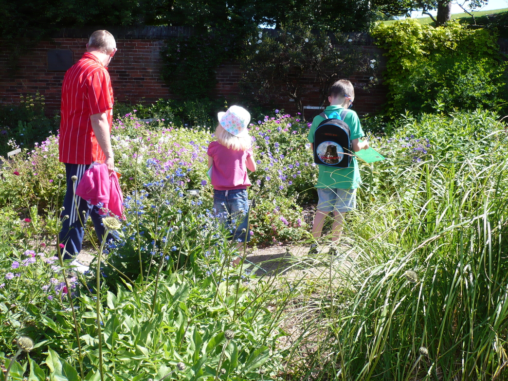 Wildlife Watch | Nottinghamshire Wildlife Trust Wildlife Watch | Nottinghamshire Wildlife Trust