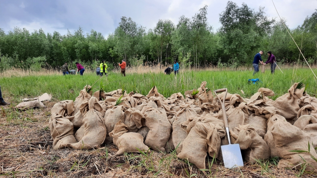 Wild Work Days | Nottinghamshire Wildlife Trust