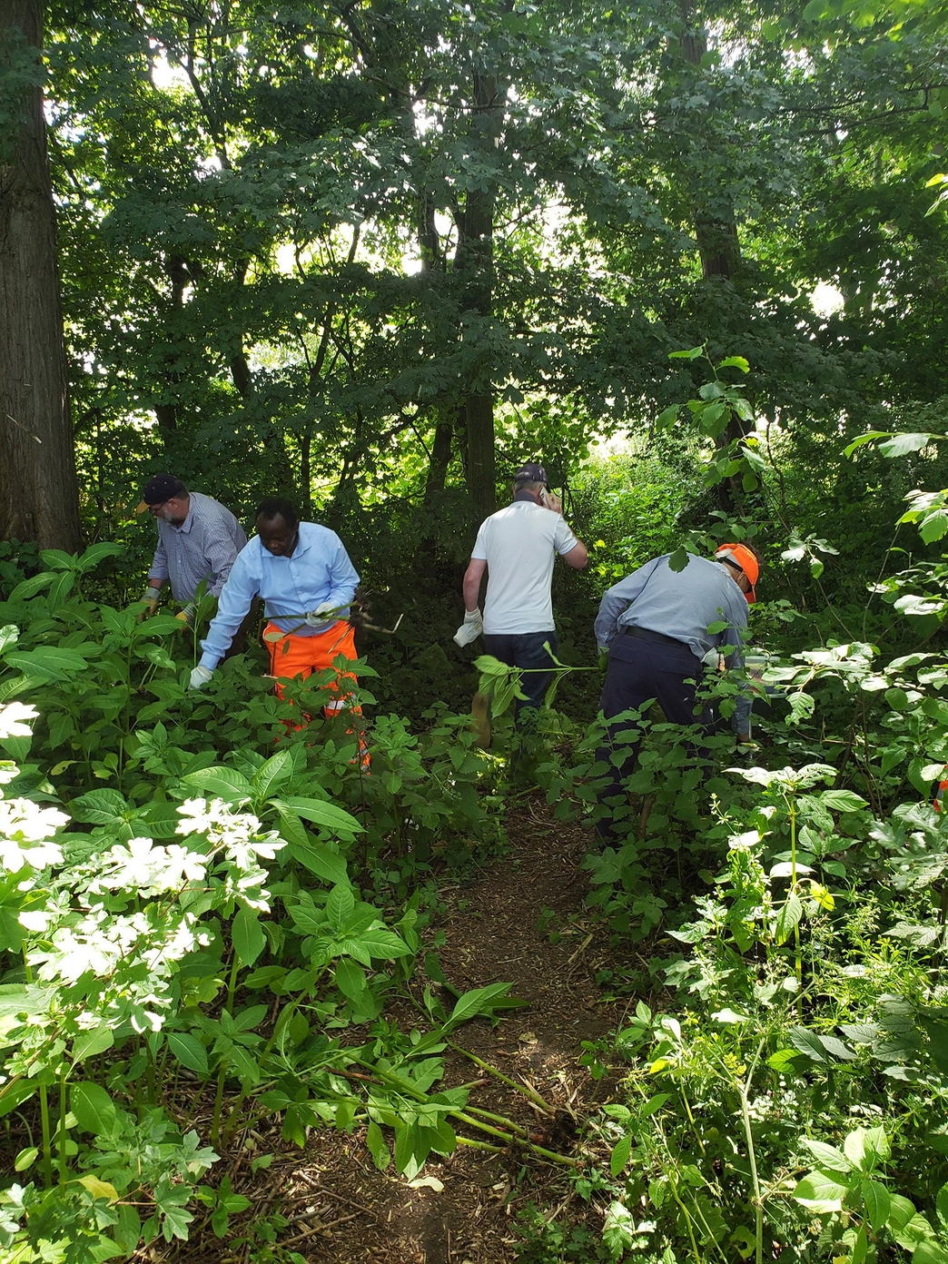 Wild Work Days | Nottinghamshire Wildlife Trust