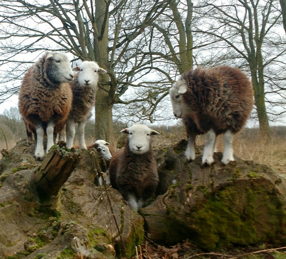 Our history | Nottinghamshire Wildlife Trust