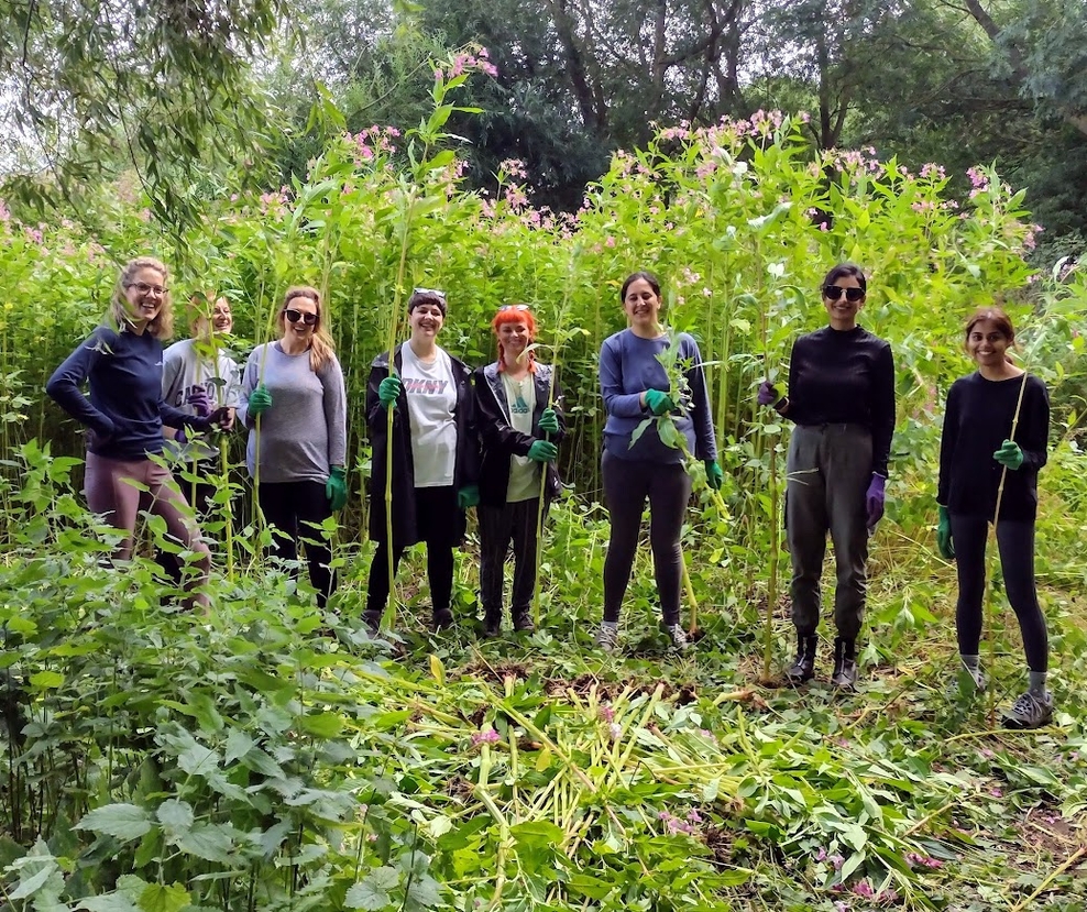 Wild Work Days | Nottinghamshire Wildlife Trust