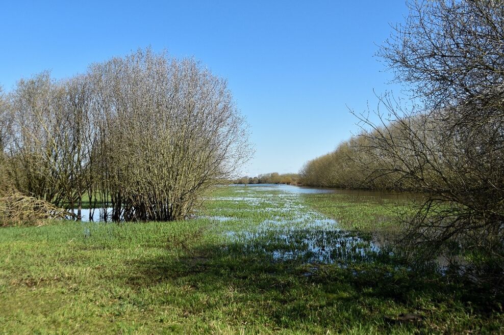 Working with Nottinghamshire farmers to give a helping hand to UK’s ...