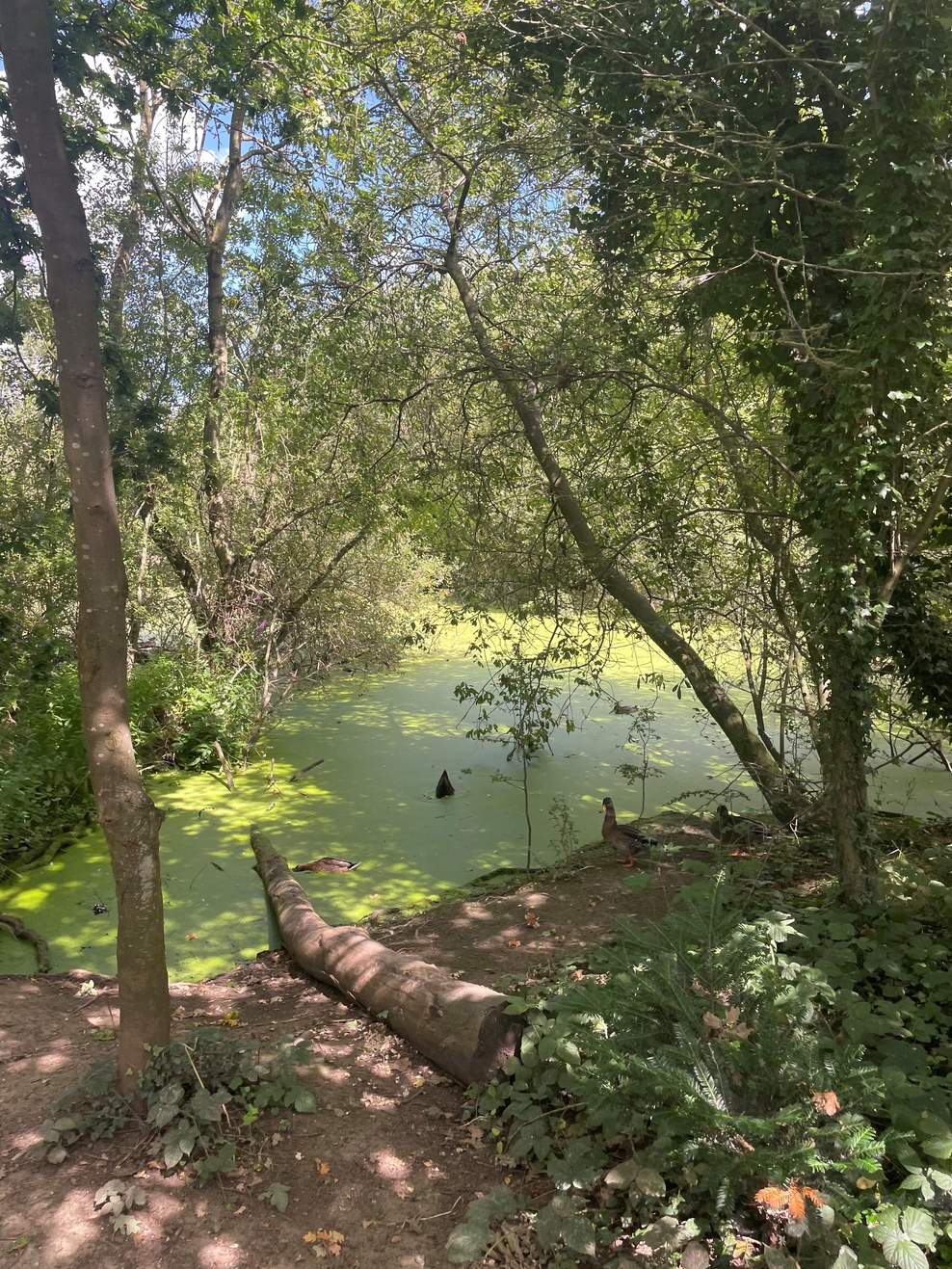 My Wild Work Day | Nottinghamshire Wildlife Trust