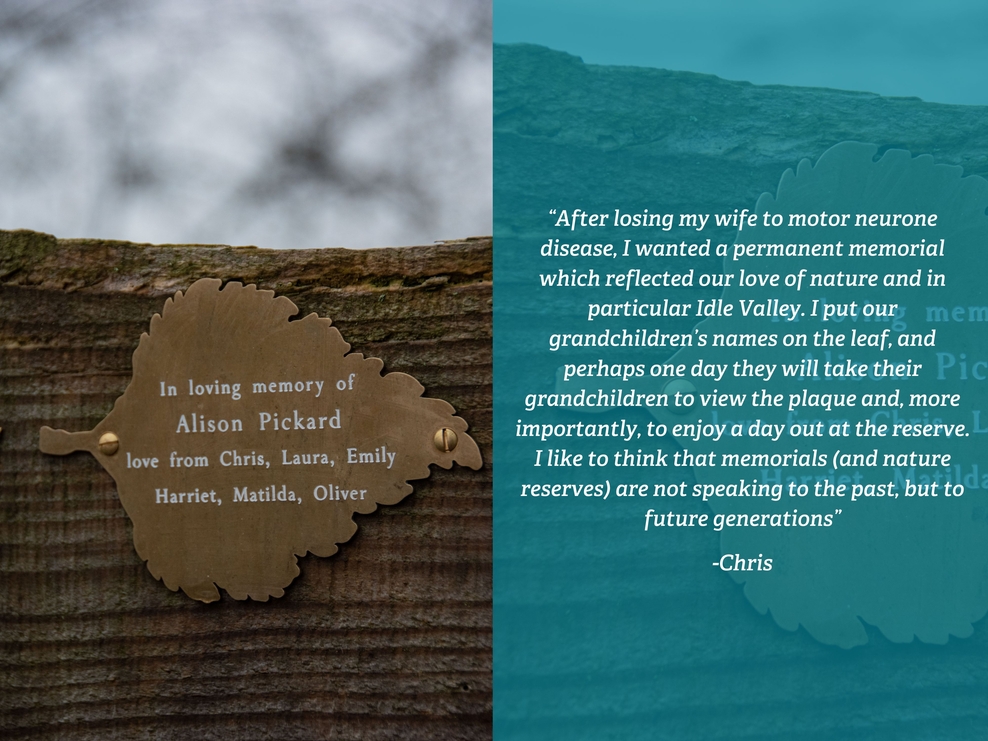 Gifts in memory | Nottinghamshire Wildlife Trust