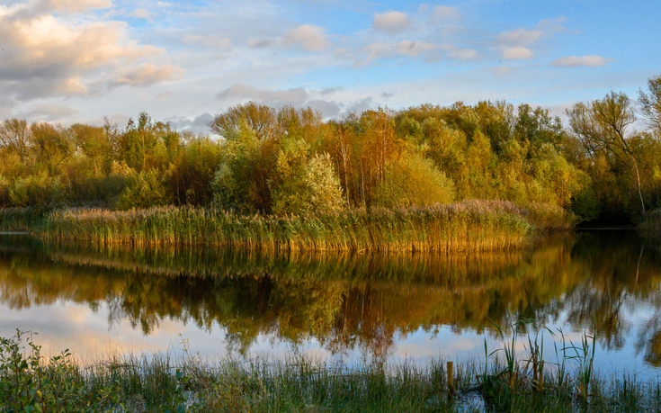 Idle Valley Visitor Centre and Nature Reserve | Nottinghamshire ...